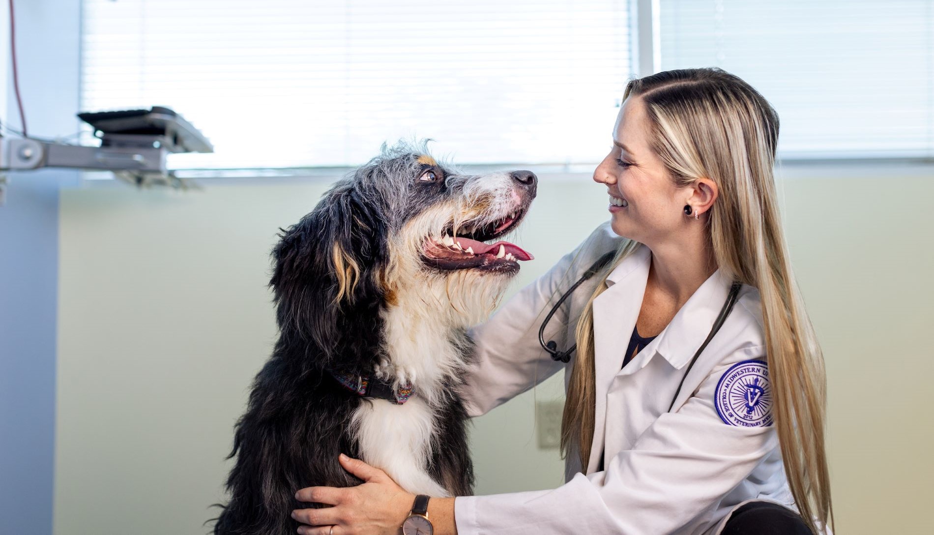 Companion Animal Clinic | Midwestern University Clinics