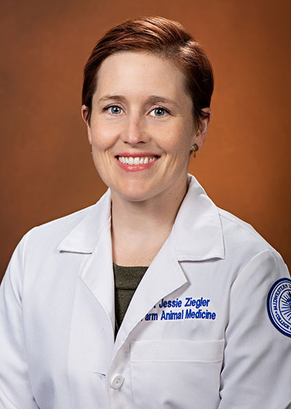 Jessie Ziegler, D.V.M., M.S., DACVIM (LAIM) | Midwestern University Clinics