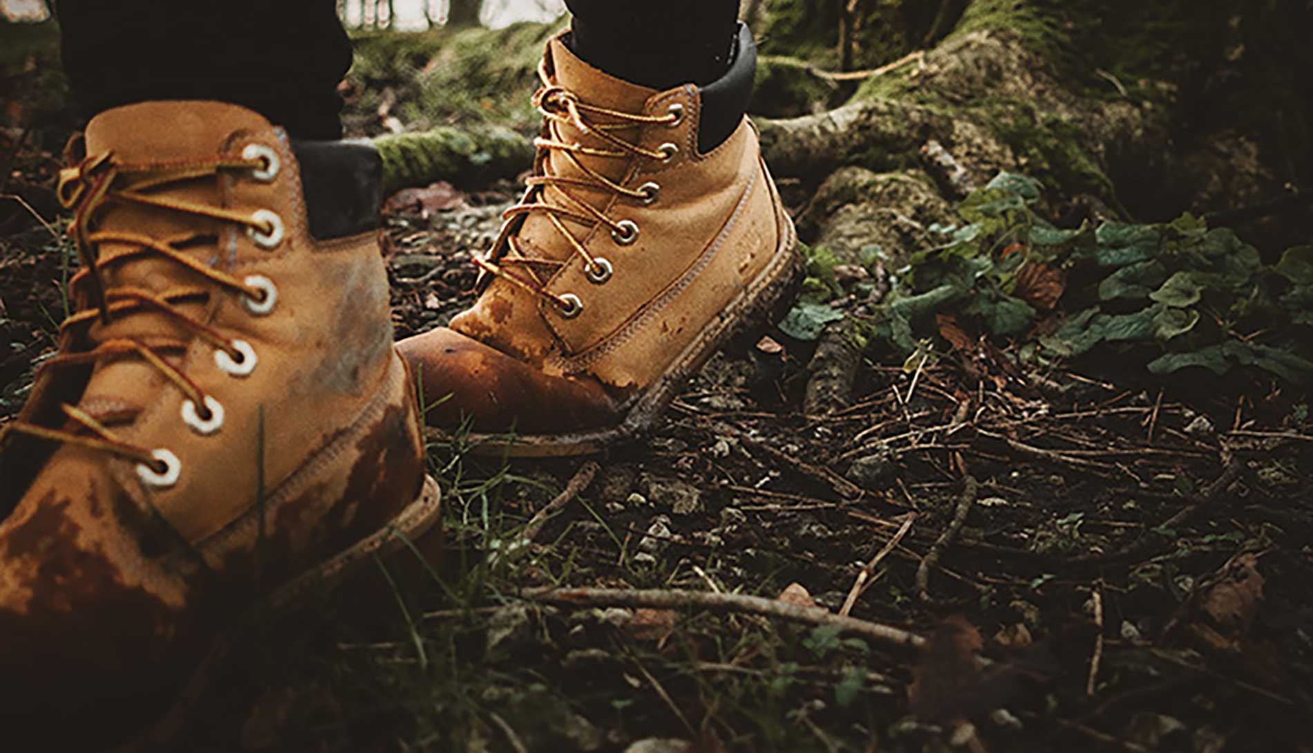 Tricky Ticks | Midwestern University Clinics