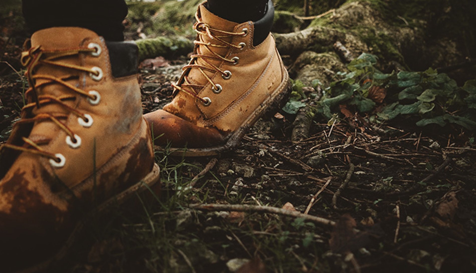 Tricky Ticks | Midwestern University Clinics