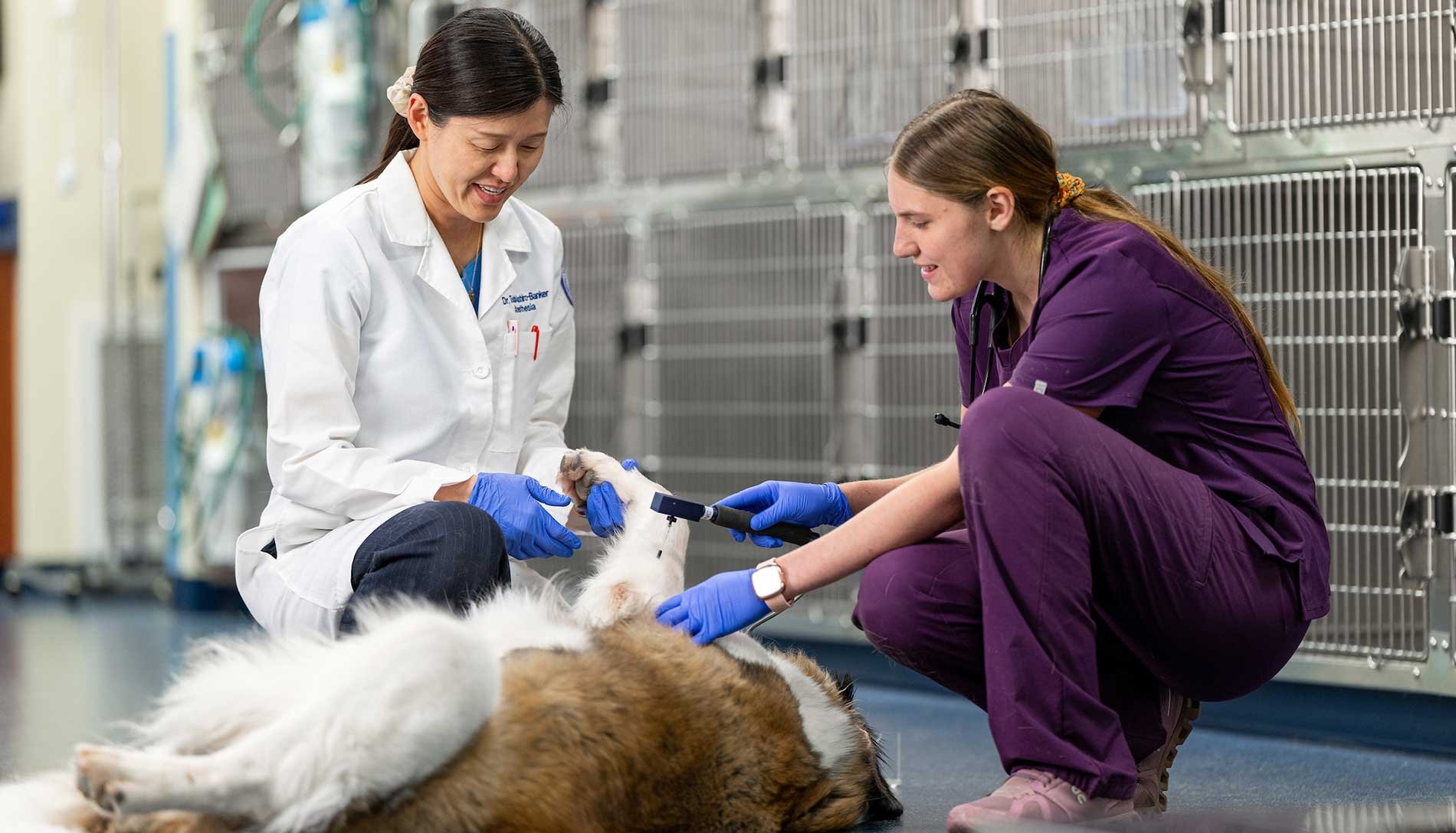 CAC Services | Midwestern University Clinics