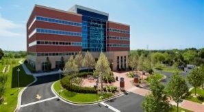 Companion Animal Clinic | Midwestern University Clinics